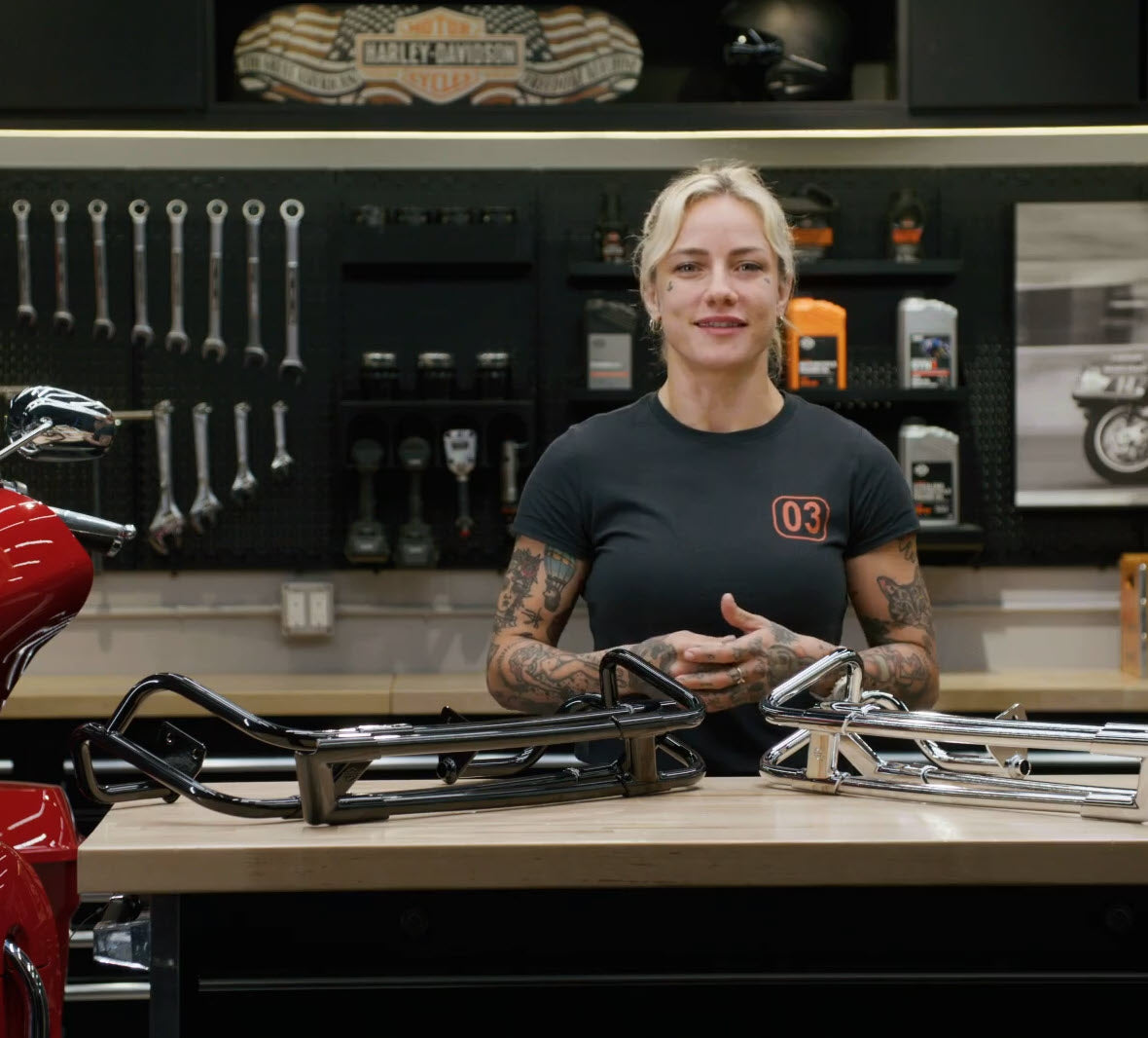 Harley-Davidson 90201903 Saddlebag Guard Rails - Iron City Motorcycles
